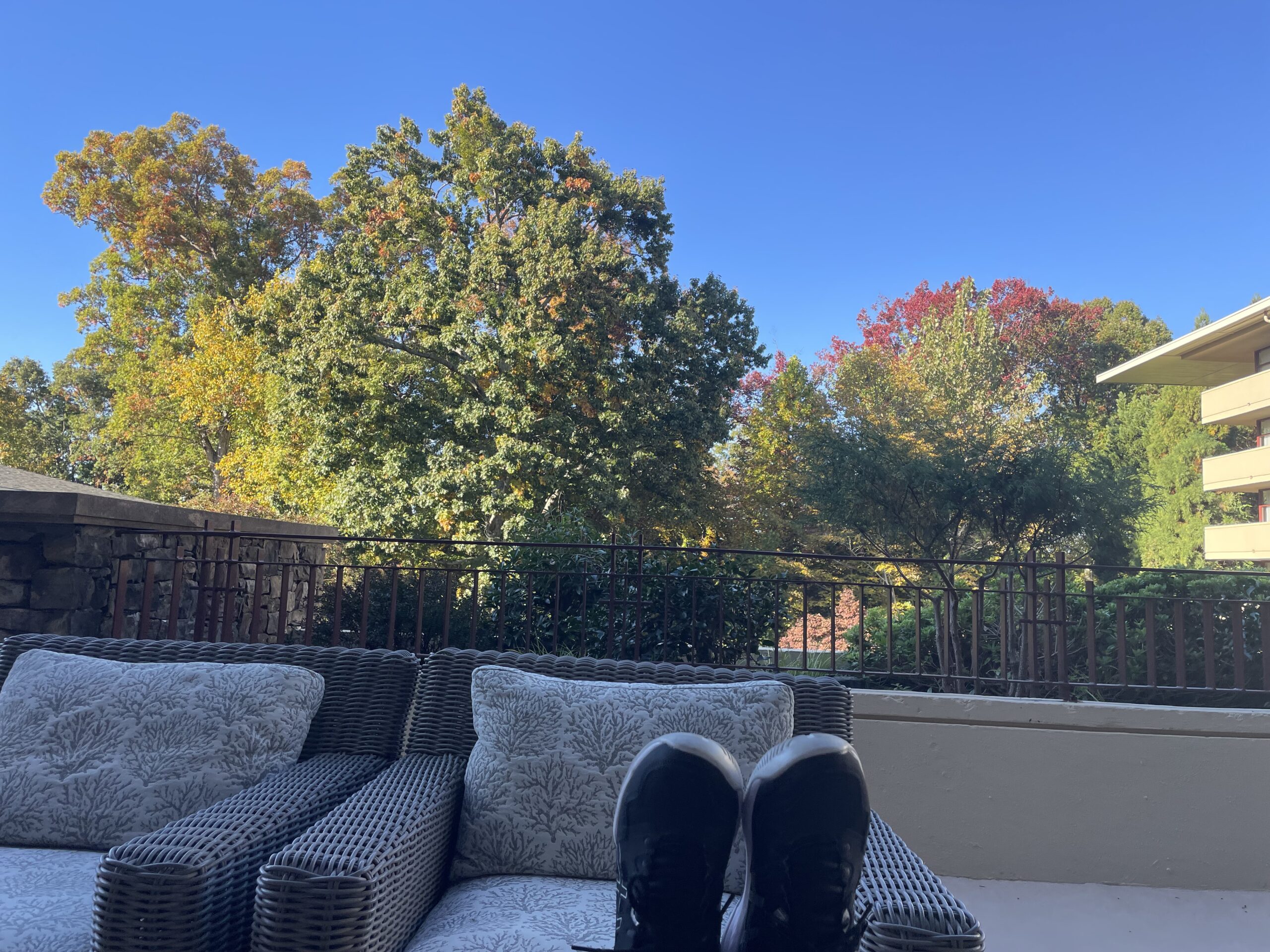 What Fall colors look like…. – Aloha Denise