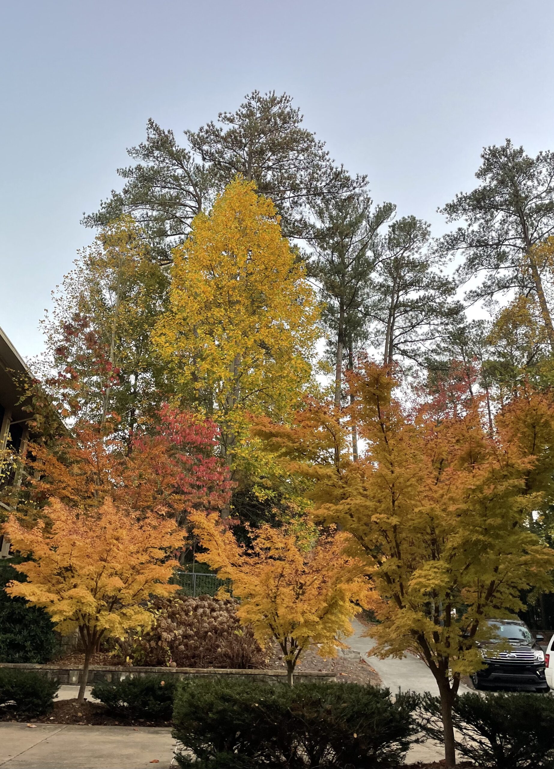 What Fall colors look like…. – Aloha Denise